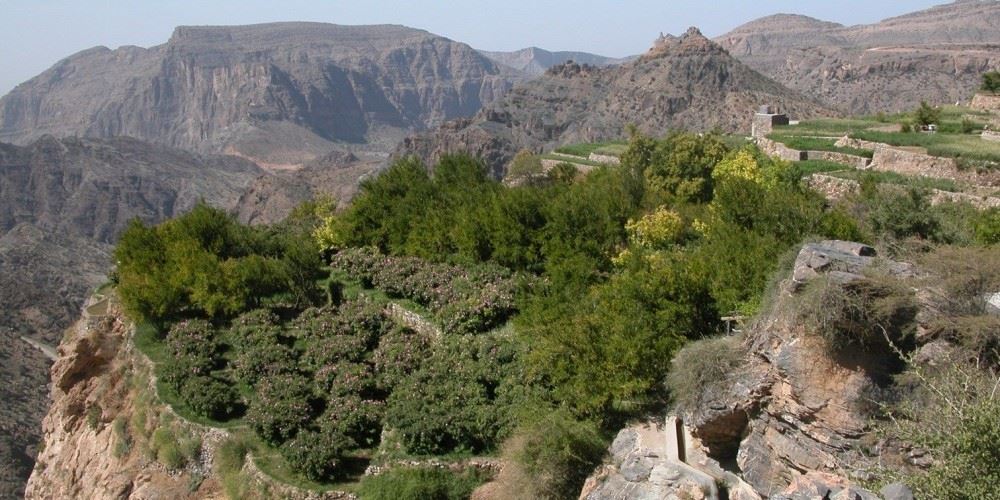Jabal Akhdar, Mountain, Attractions, Muscat, Things to do Oman