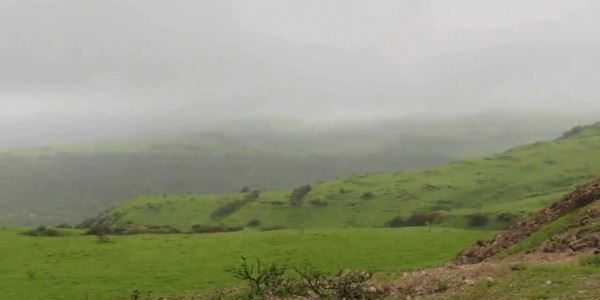 Thumrait, Historic Building, Attractions, Salalah, Things to do Oman
