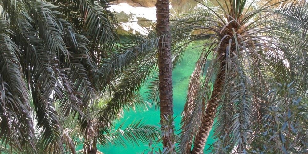 Wadi Tiwi, Wadi, Attractions, Muscat, Things to do Oman