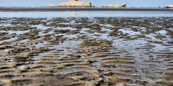 Barka, Waterfront, Attractions, Muscat, Things to do Oman