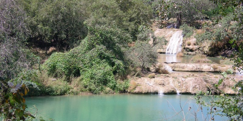 Haffa Souk, Market, Attractions, Salalah, Things to do Oman